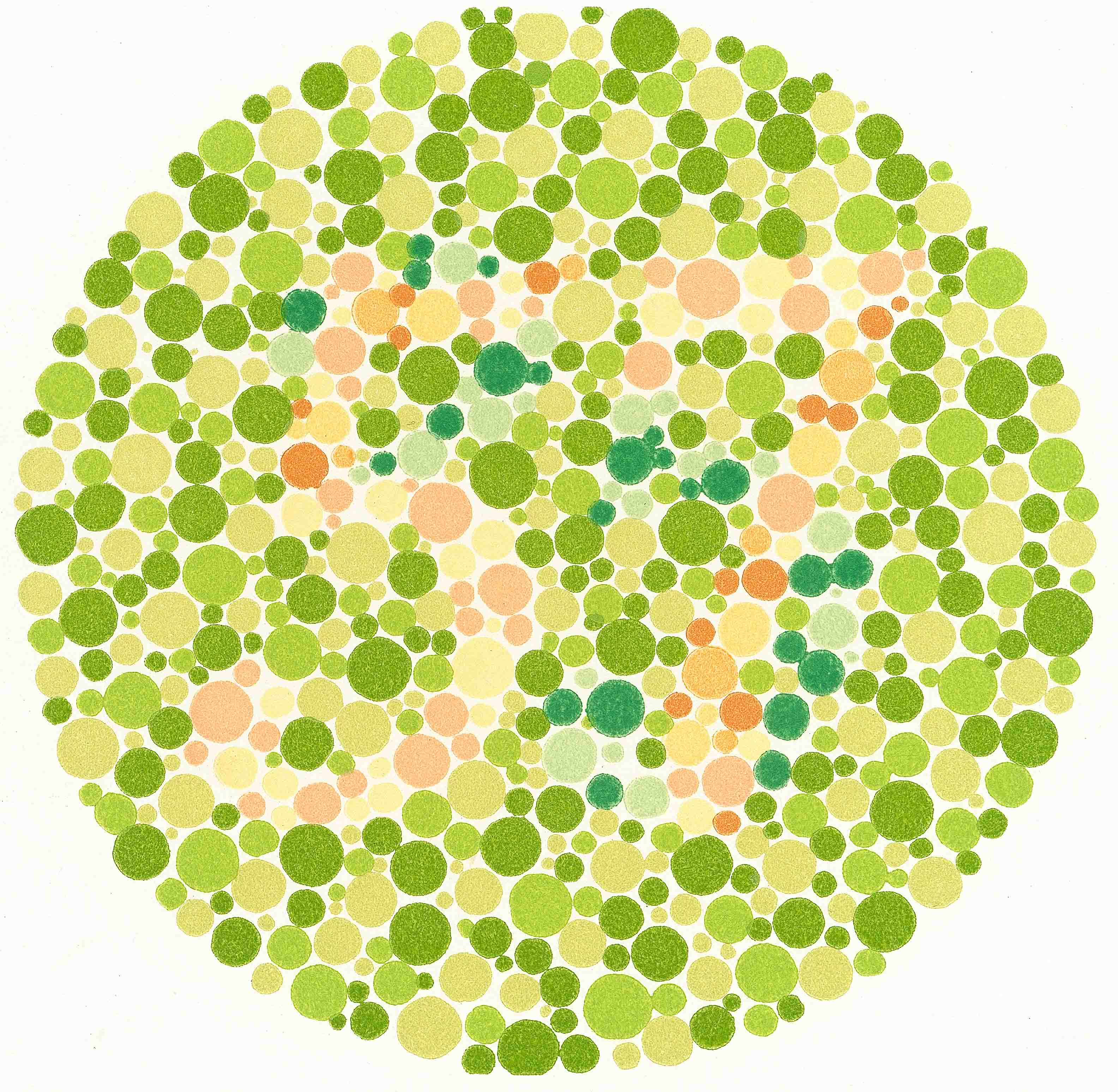1000 Images About Ishihara Test On Pinterest Color Vision 1000 Images About Ishihara Test On Pinterest Color Vision